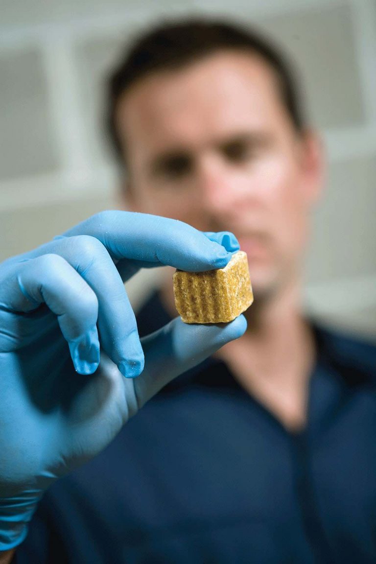 Generation Bait - Liphatech